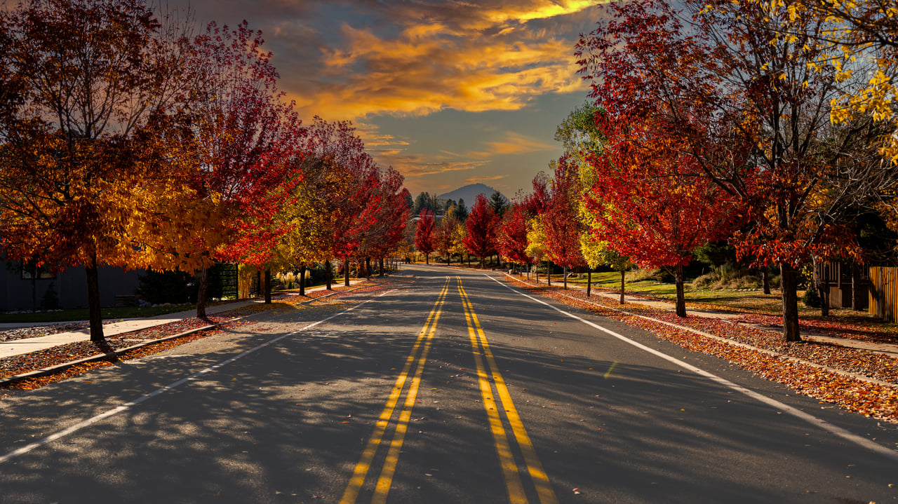 Your Ultimate Guide to Southwest Colorado’s Fall & Winter Events ...