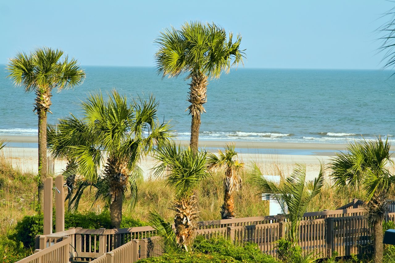 Find Your Myrtle Beach, SC Dream Area | Deven Lee