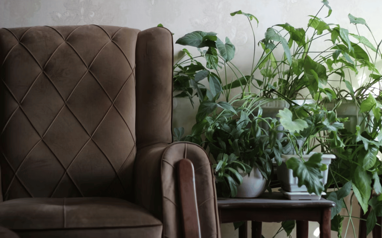 How to Choose Furniture That Fits Your Lanikai Home | Blog | Tracy Allen