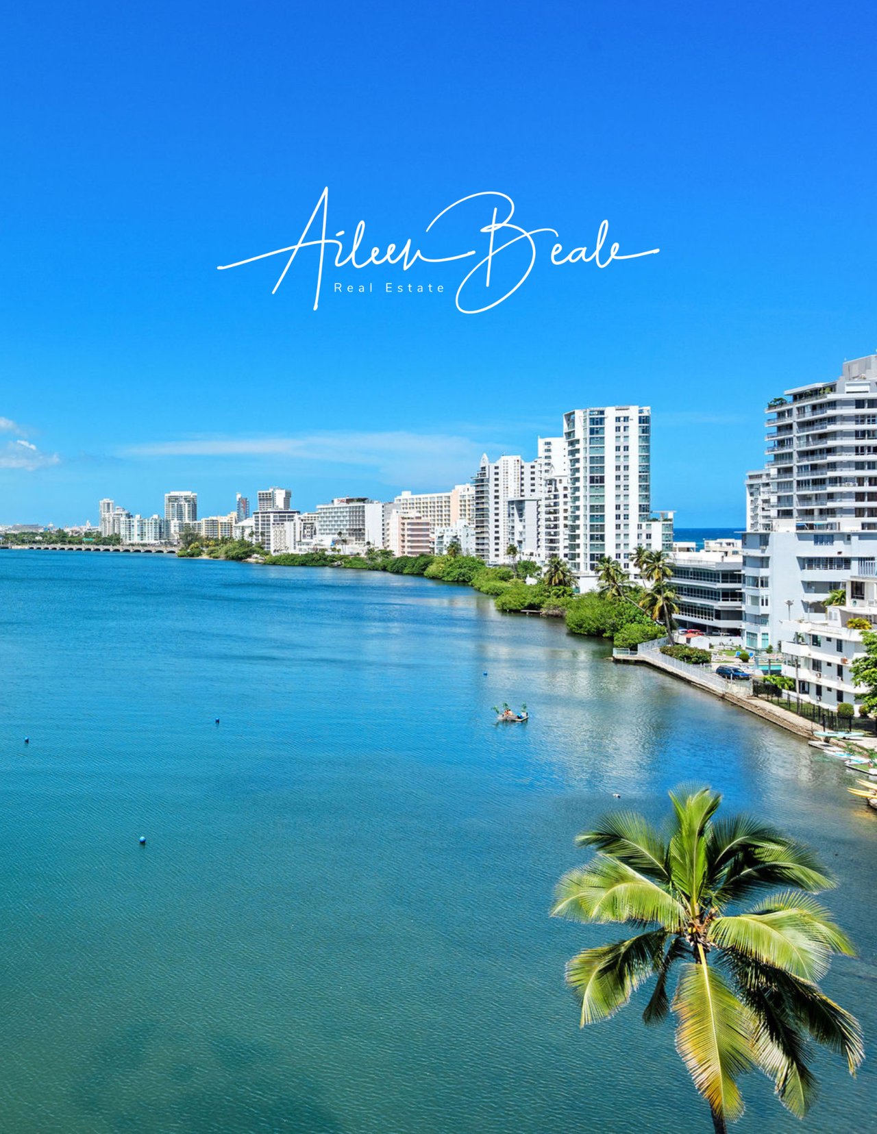 Aileen Beale Real Estate