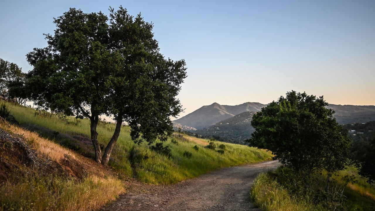 Emily Schaffer | Marin County Luxury Real Estate Agent | Mill Valley to ...