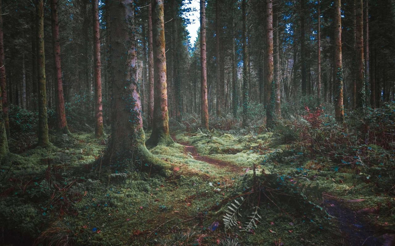 Understanding Current Economic Trends in U.S. Real Estate | Rachel ...