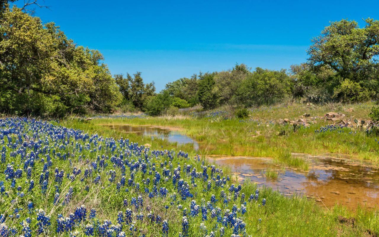 Garden Ridge - Discover Serene Suburban Living