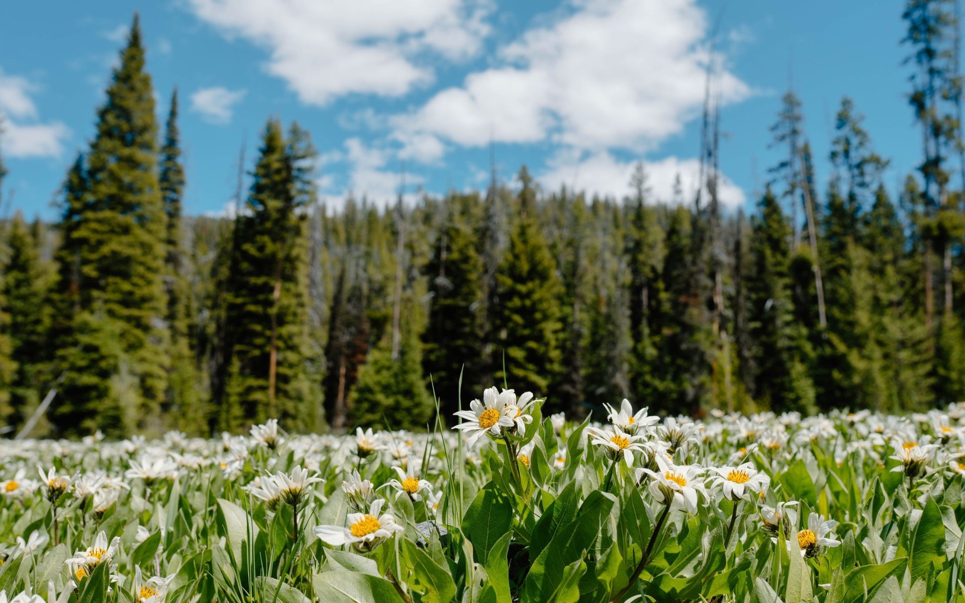 Contact Us | Corcoran-Hall & Co. | Coeur d'Alene, ID