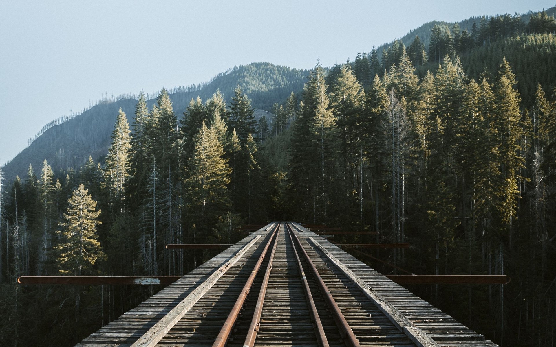 Park City Real Estate – Discover Luxury Homes with Wayne Levinson