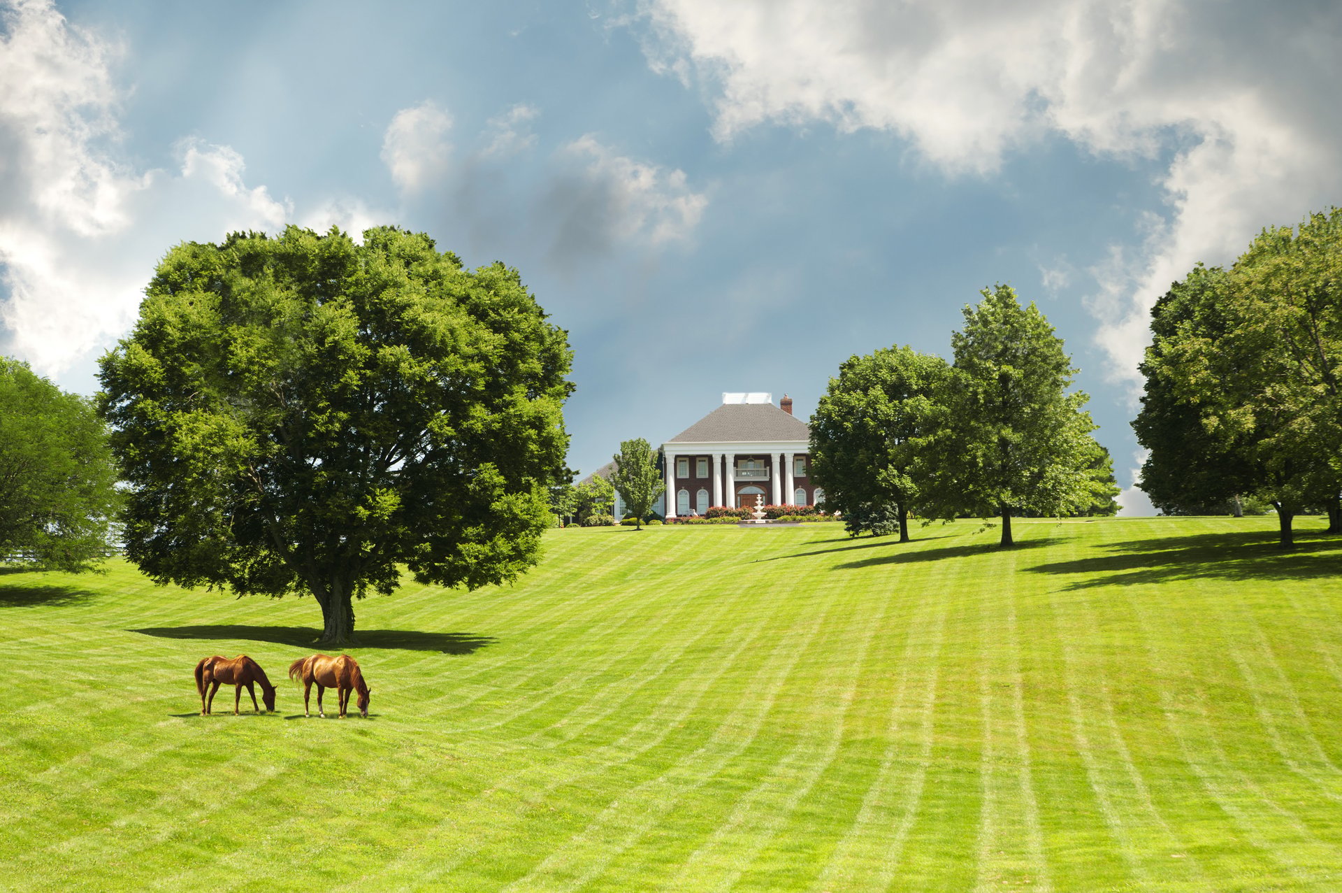 Things to Do in Northern Kentucky | Lorms Home Team