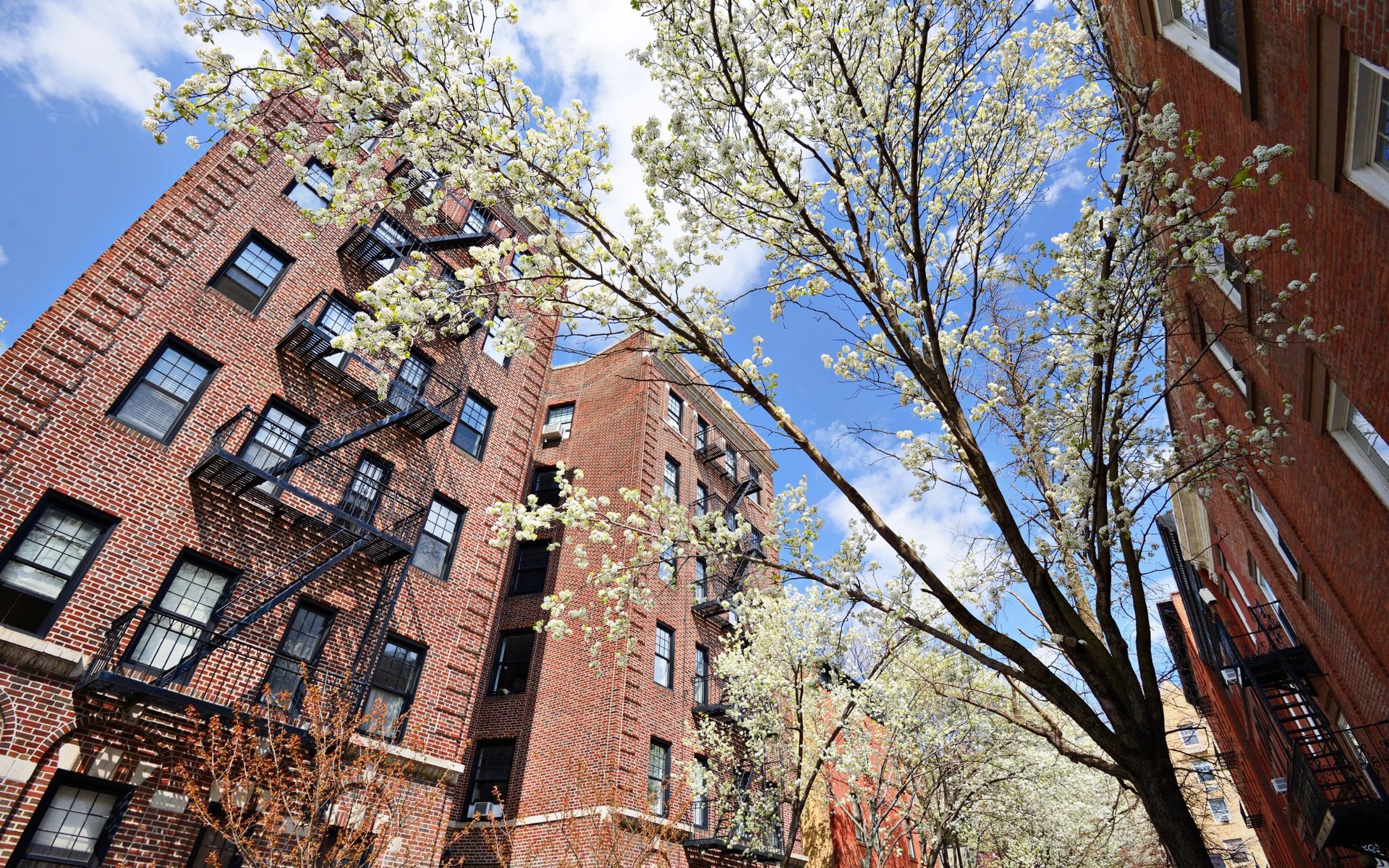 New York Homes & Property Listings | Florio New York