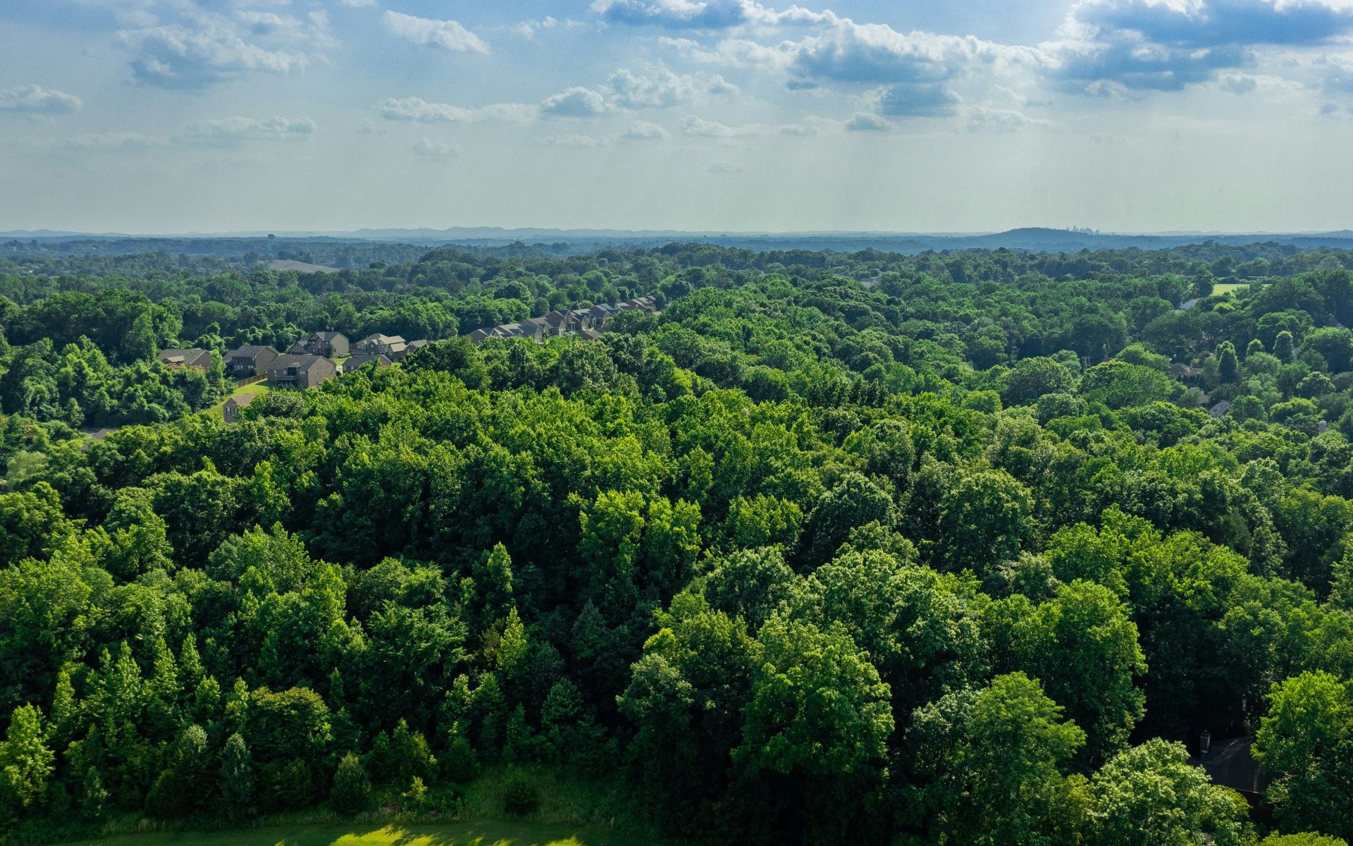 Guides to Tennessee Neighborhoods | Andy Lusk REALTOR®