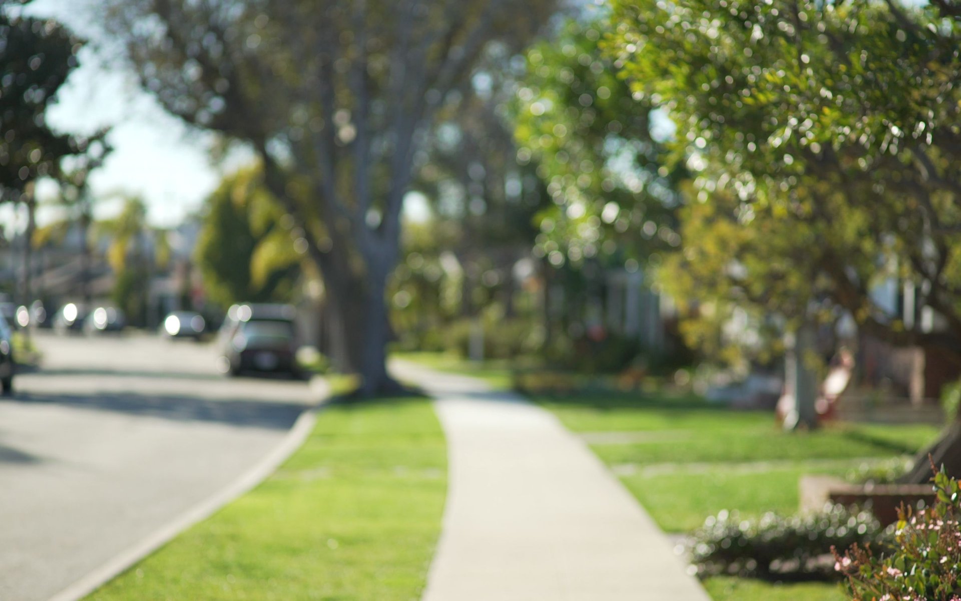 Mary Lockyer Browning | Middleton Real Estate Agent