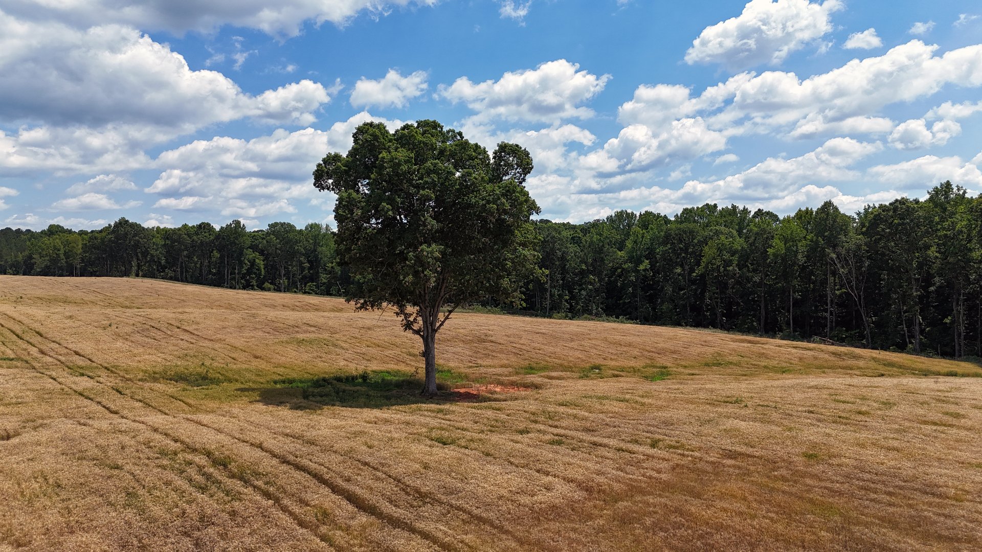 Recently Sold Land in Georgia | Georgia Land Brokerage