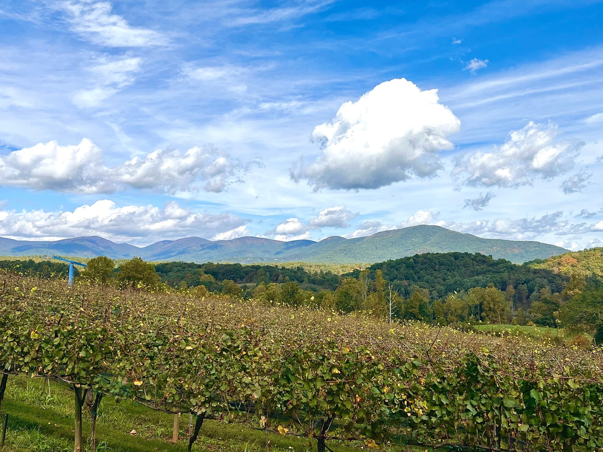 Dahlonega Neighborhood Guides | Chad & Julie Williams