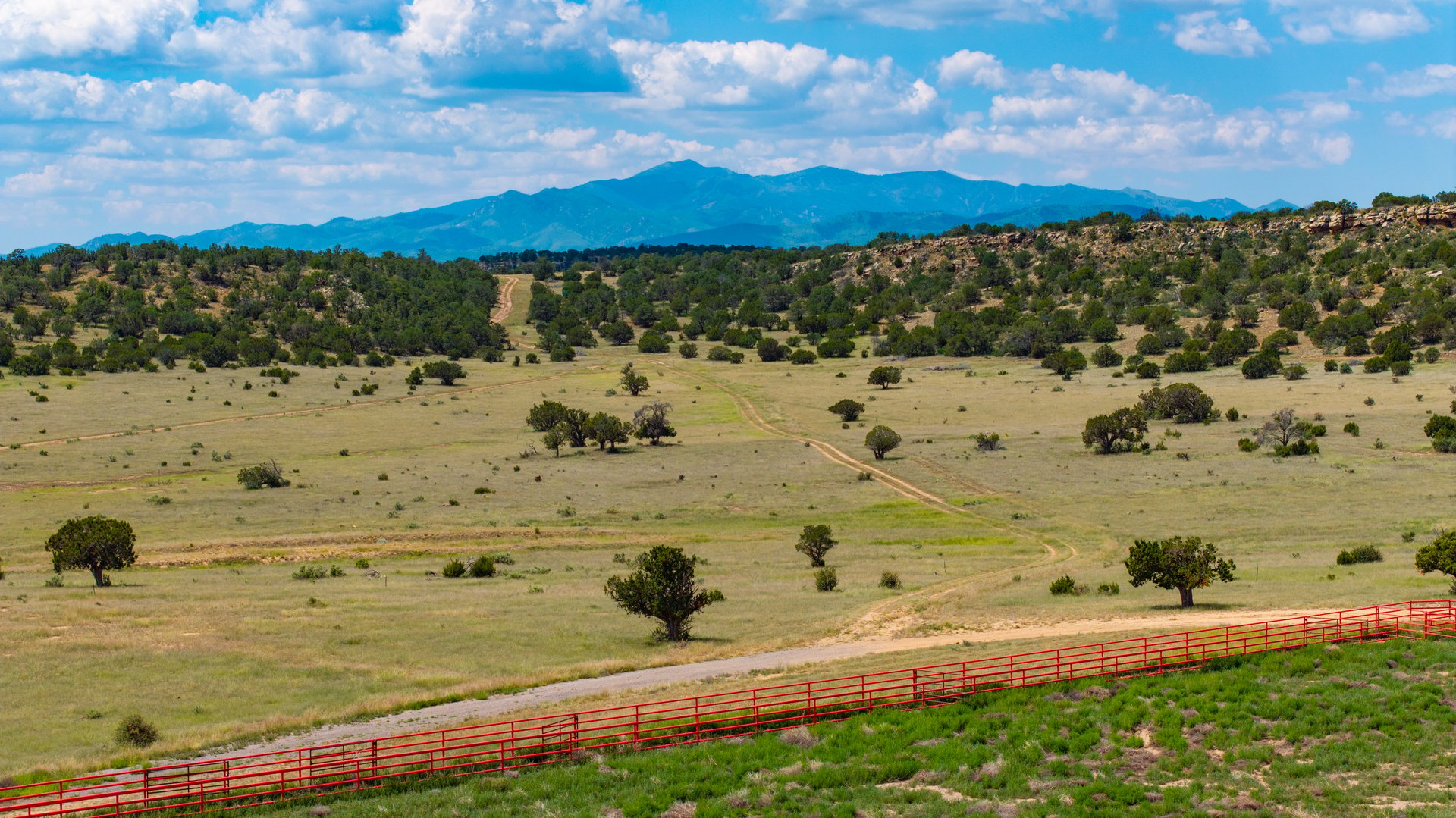 Explore New Mexico Neighborhoods Guides | Zia Real Estate