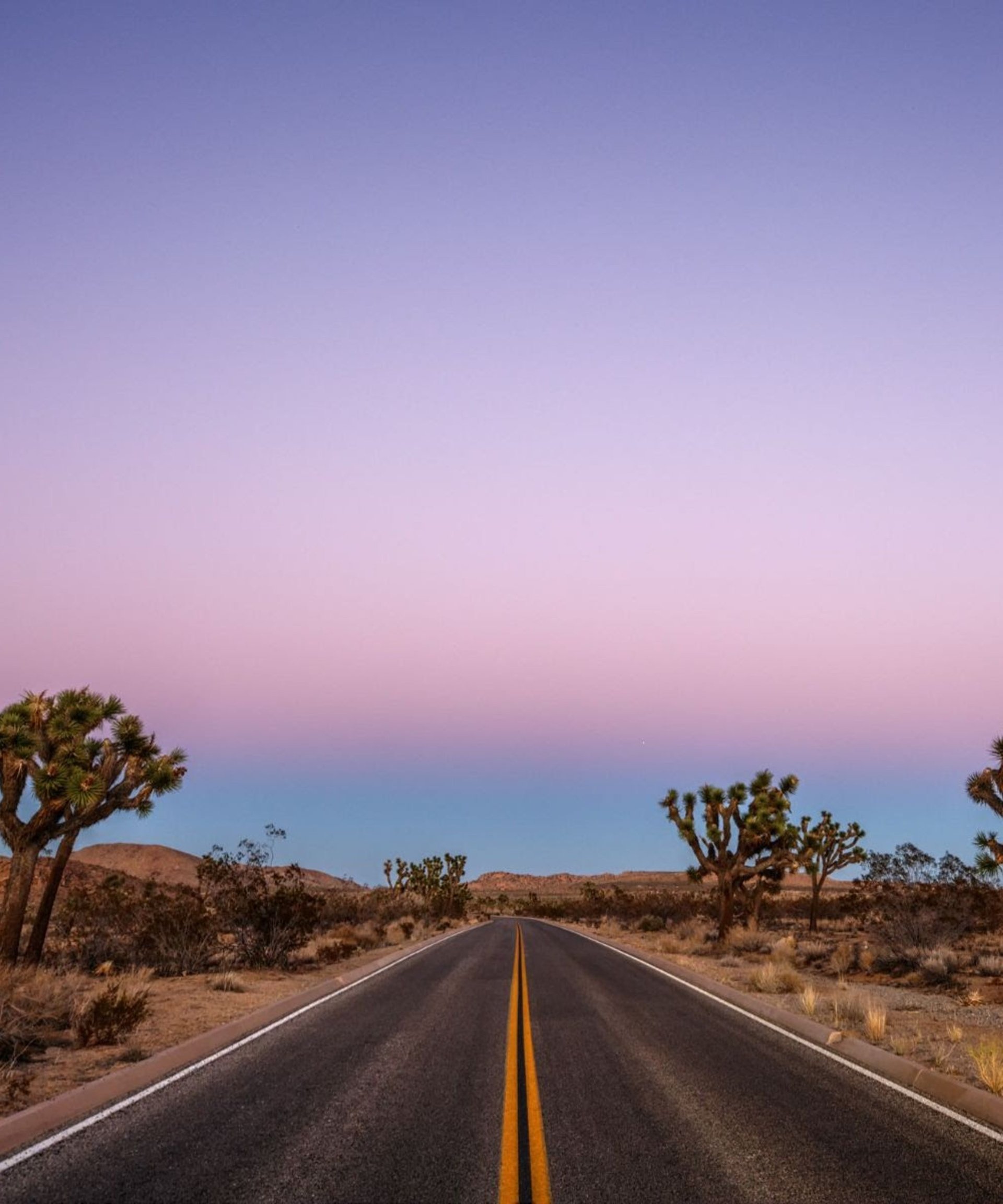 Amber Brandt | Sedona, Arizona Real Estate Agent