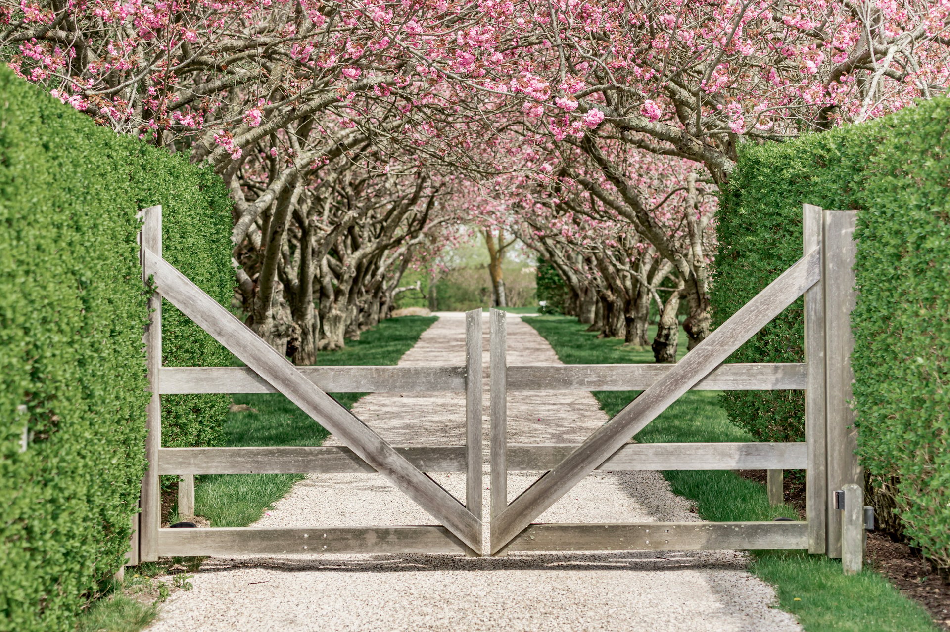 Harald Grant - Your Hamptons Real Estate Salesperson