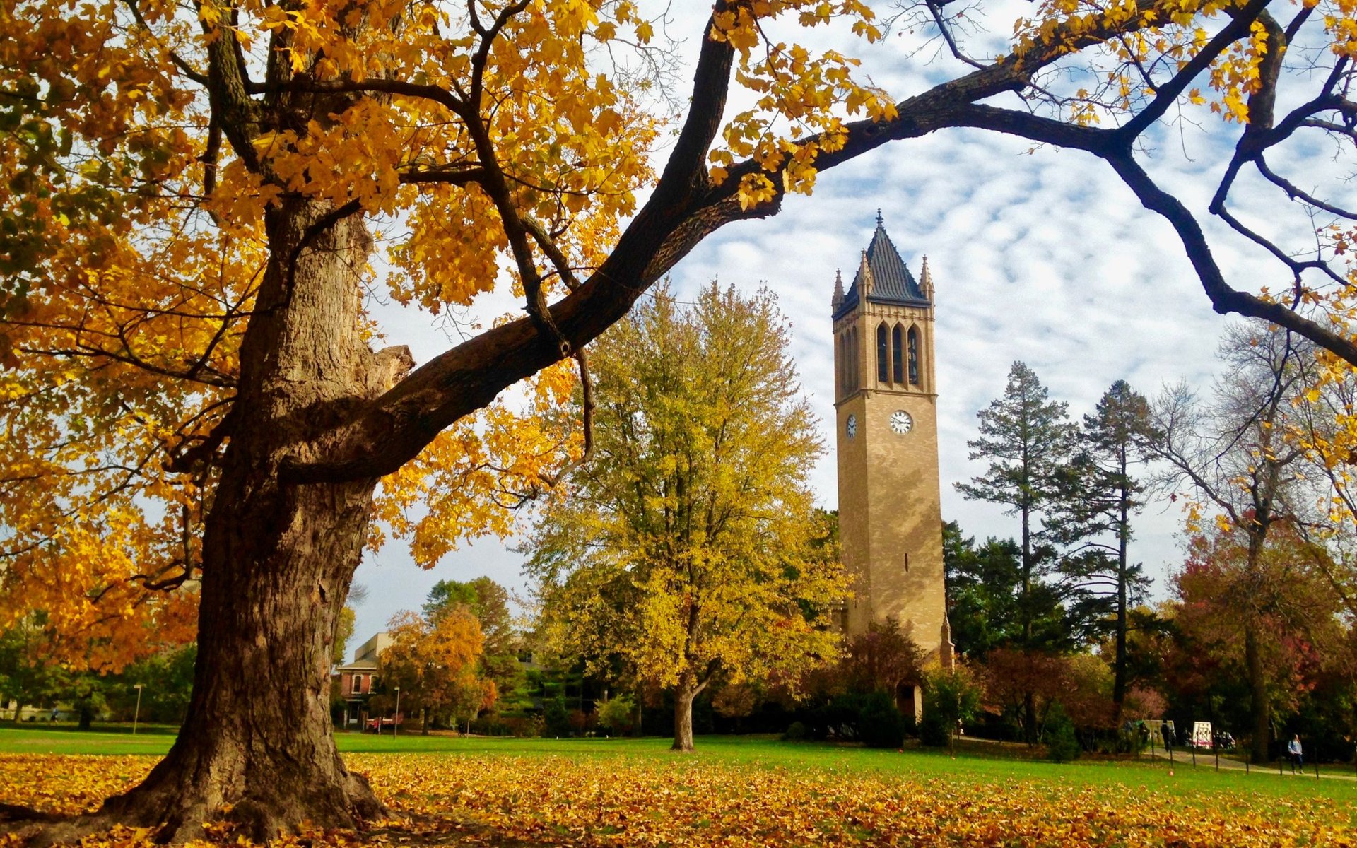 Comprehensive Guide to Iowa Neighborhoods | InSun Colerick