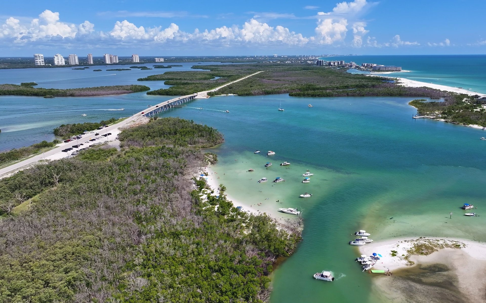 Comprehensive Guide to Florida Neighborhoods | Leland Bishop