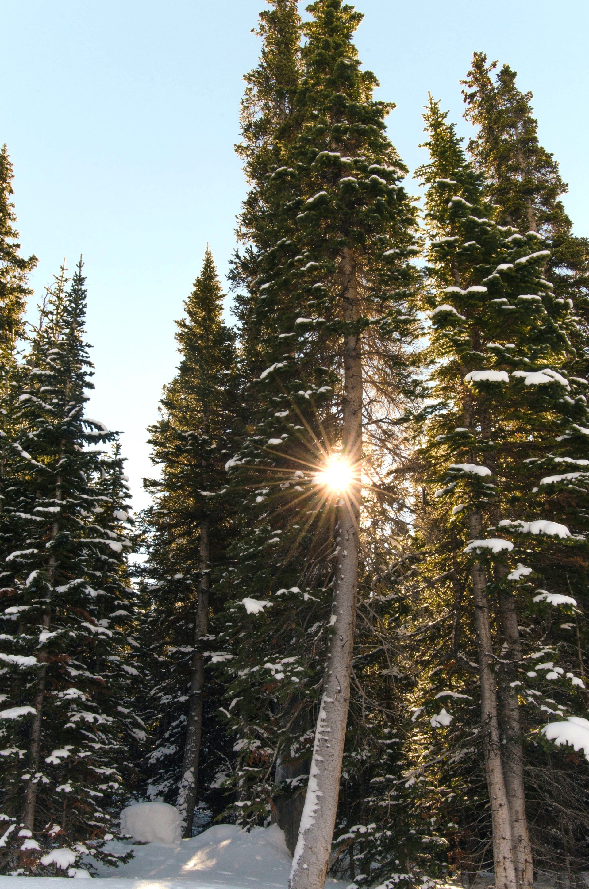 Park City Real Estate Agent – Discover Luxury with Miriam Noel