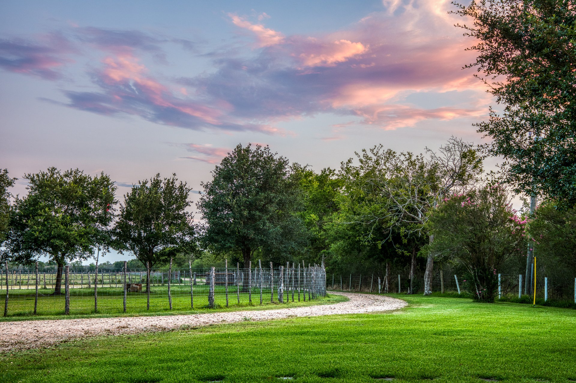 Meet the Team | Bill Johnson Real Estate | Trusted Experts