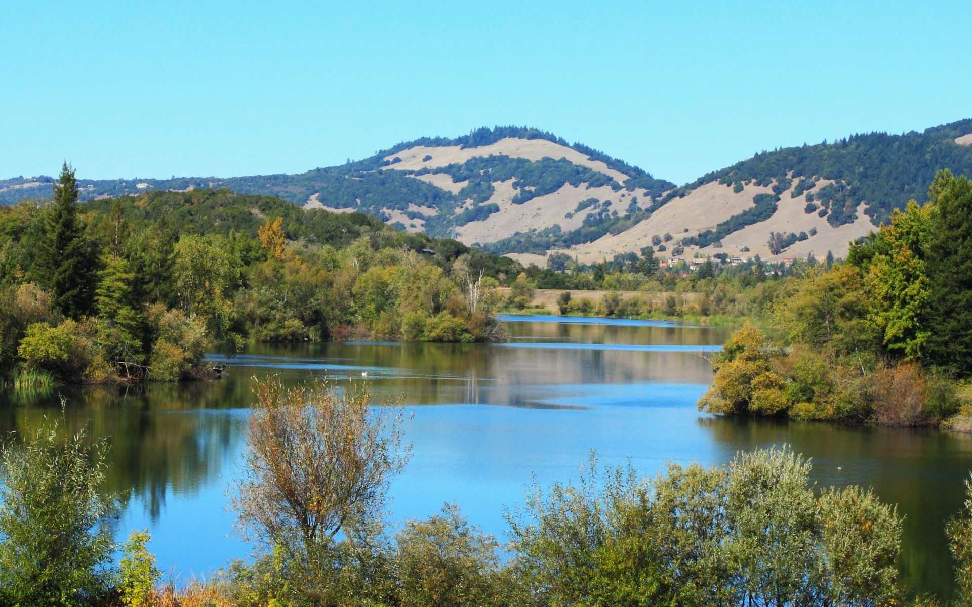 Northern California County Guides | Merge Real Estate