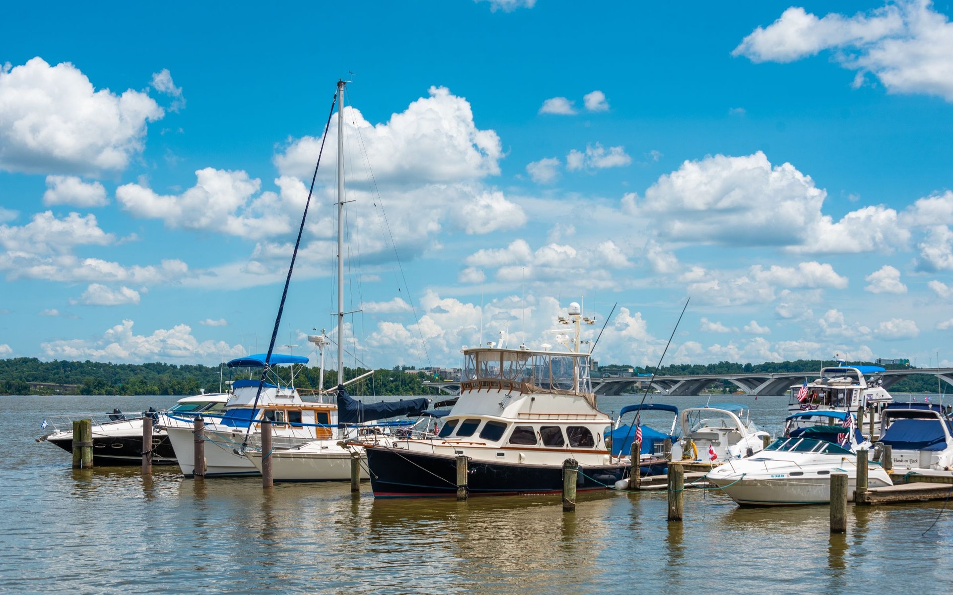 Events | Areizo Anderson Virginia Real Estate Expert