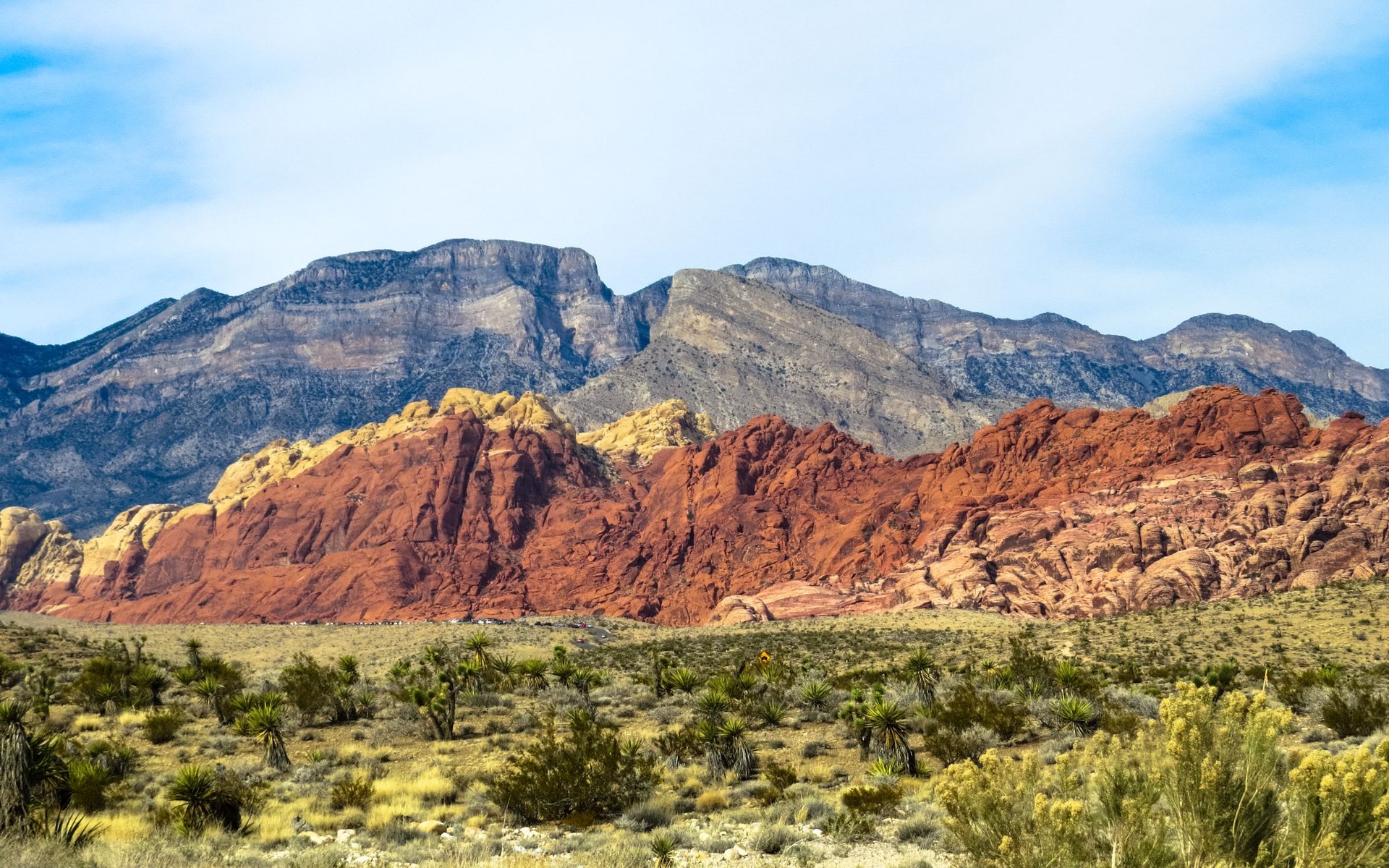 Comprehensive Guide to Nevada Neighborhoods | Belen Clark