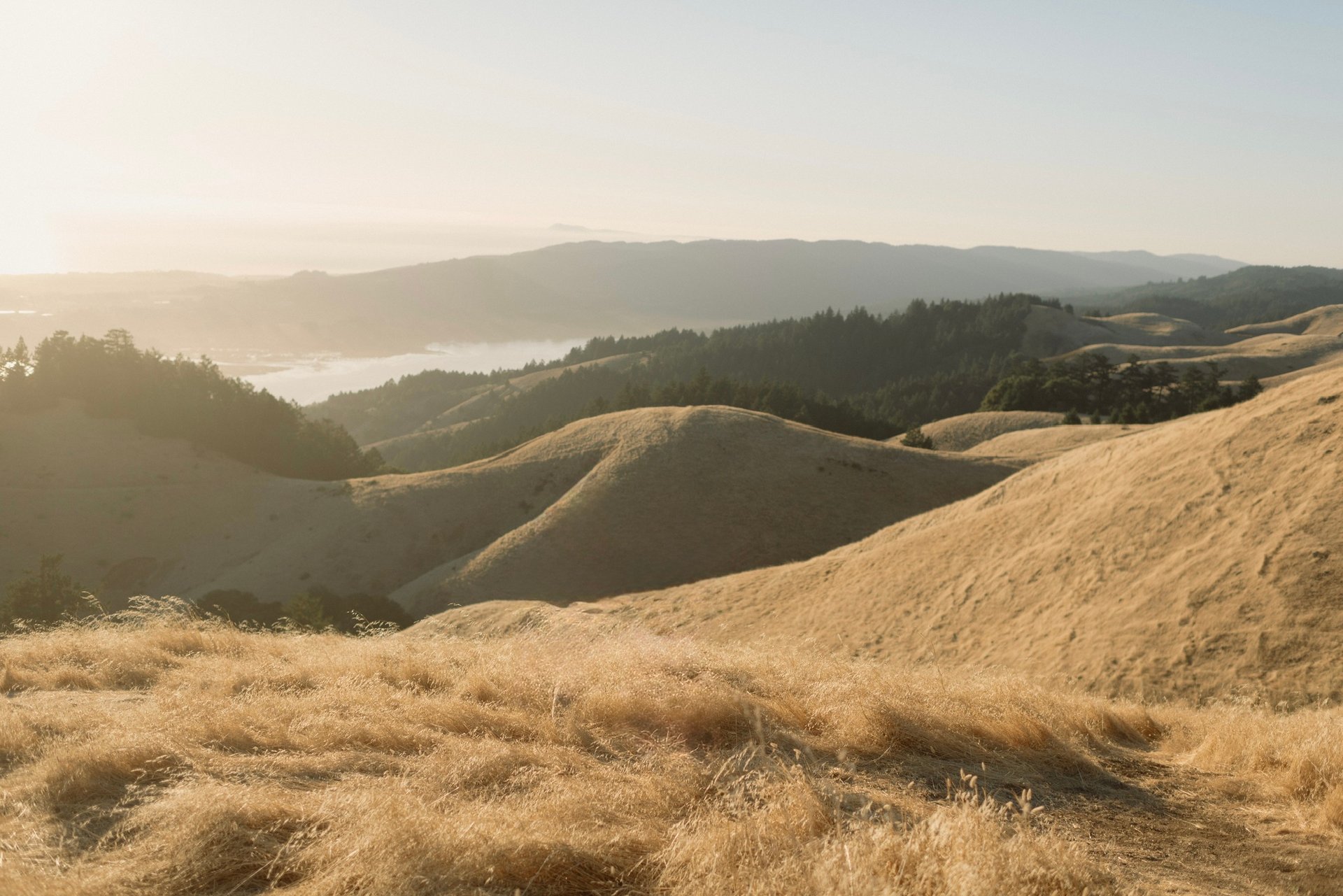 Scott Wickham Real Estate Marin County – Discover Your Dream Home