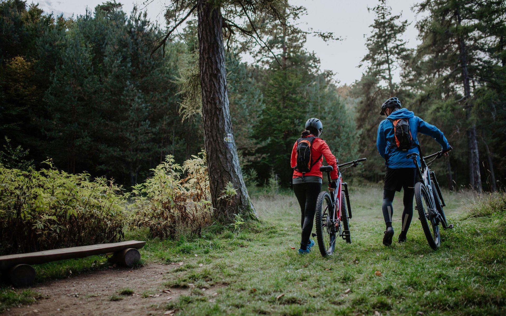 Goad Home Partners - Premier Woodstock Real Estate Agents