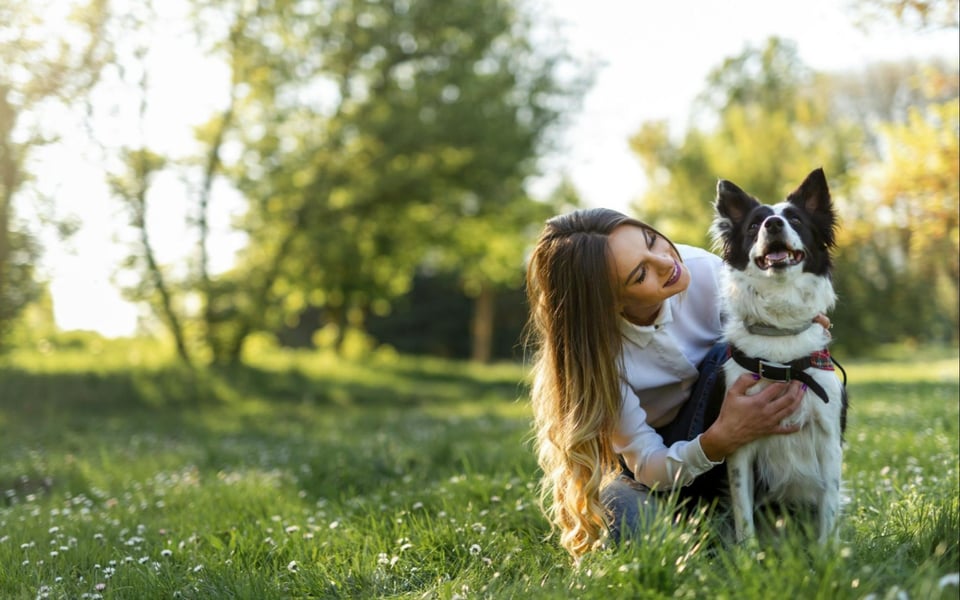 A Guide to Franklin's Most Pet-Friendly Communities | Blog | Janelle ...