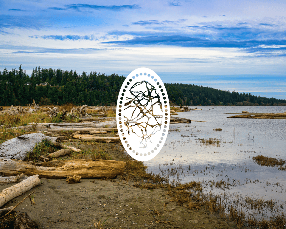 Camano Island - Real Estate | Lapis Homes