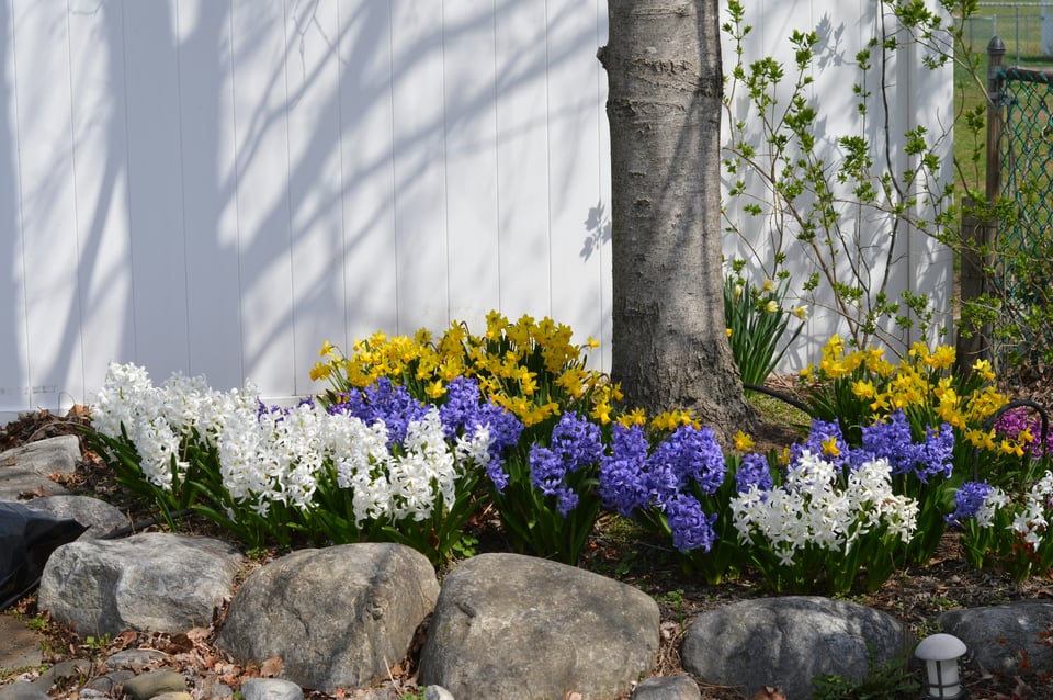 Curb Appeal in Bloom: Easy Spring Landscaping Tips That Make a Big Impact