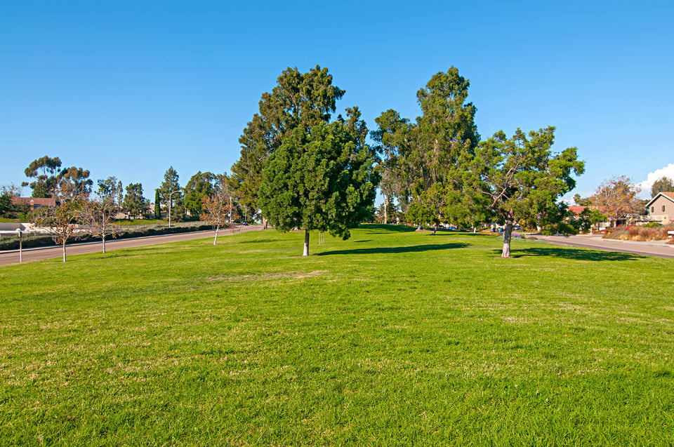 Village Park Homes & Real Estate | Neighborhood Guide | Encinitas CA