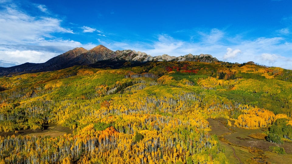 Kebler Pass Scenic Drive Crested Butte Fall Colors | Pink Realty