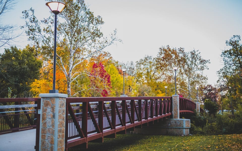 A Guide to New Buffalo, MI Parks | Blog | Jackson Matson