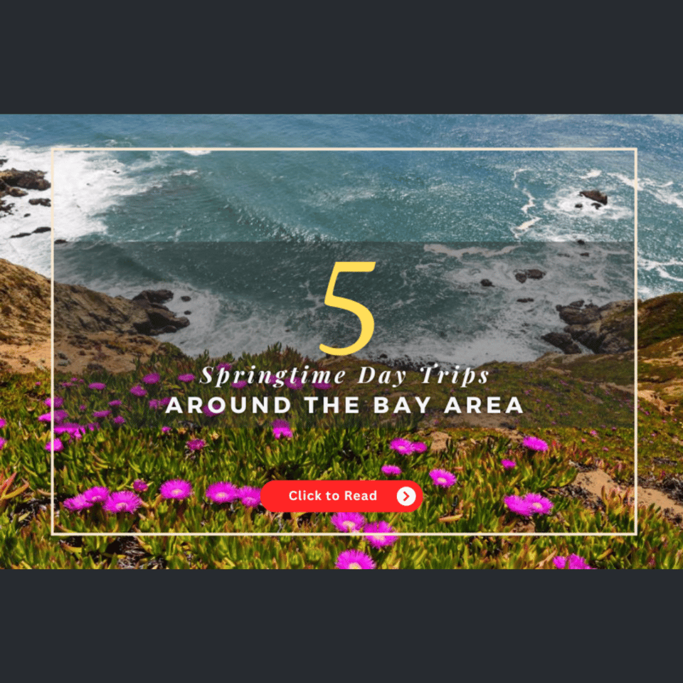 5 Springtime Day Trips Around The Bay Area | Blog | Christy Park ...
