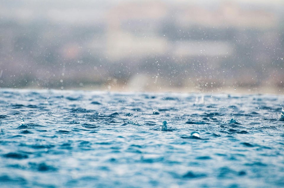 All That the Rain Promises and More: Embracing the Rainy Season on the ...