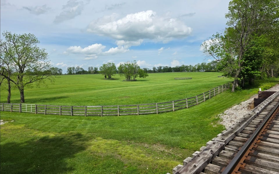 Versailles | Neighborhood Guide | RO&CO Real Estate