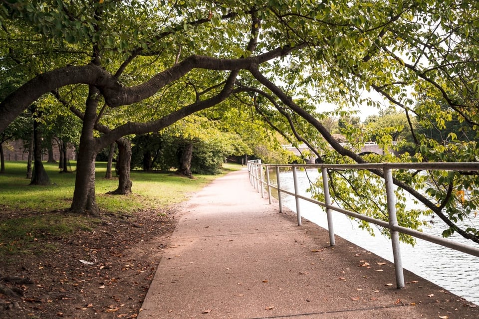 10 Best Parks in Everett Washington | A Local's Guide