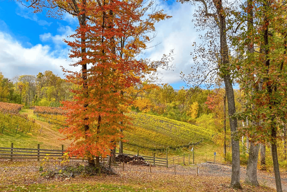 Fauquier County | Neighborhood Guide | Tracey Farmer
