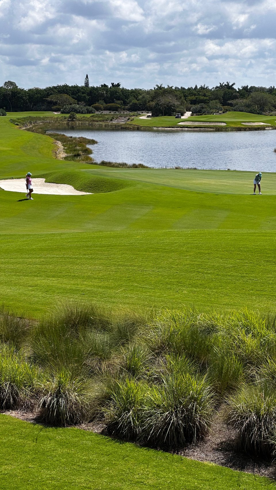 Naples golf communities - Naples golf real estate - Buy Live Sell ...