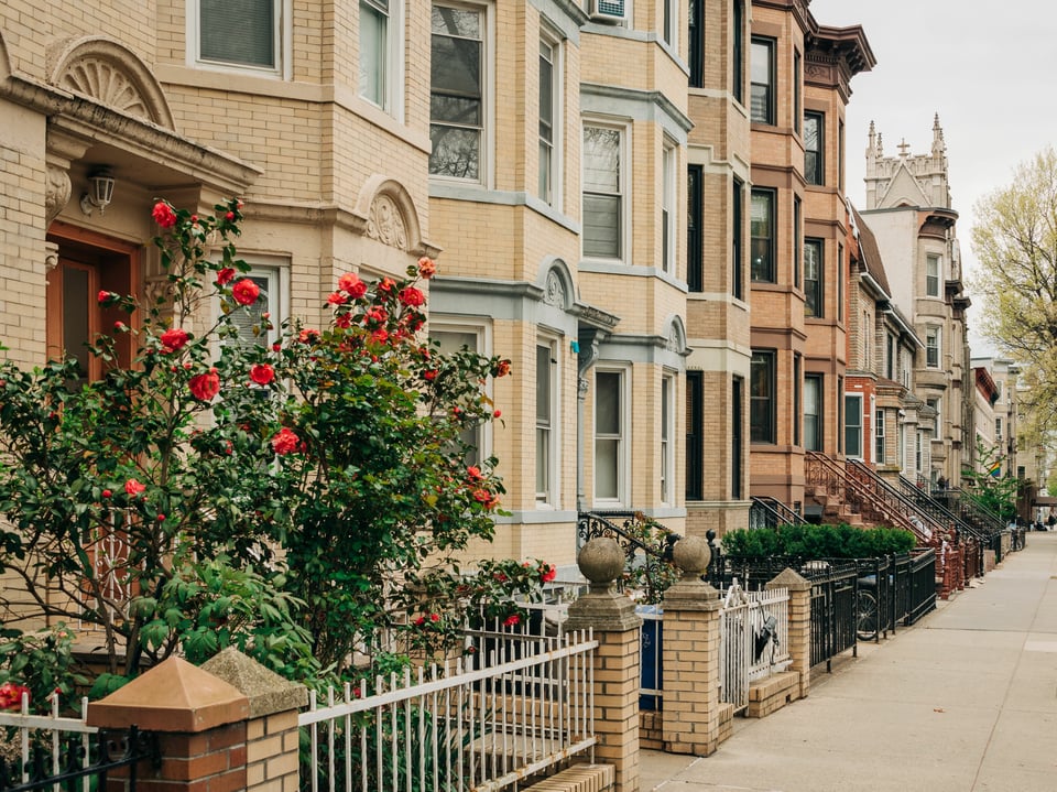 Greenpoint | Neighborhood Guide