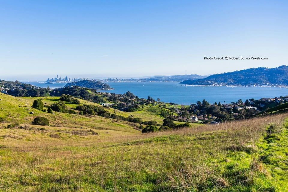 July 2025 Marin County and San Francisco Real Estate Market Reports