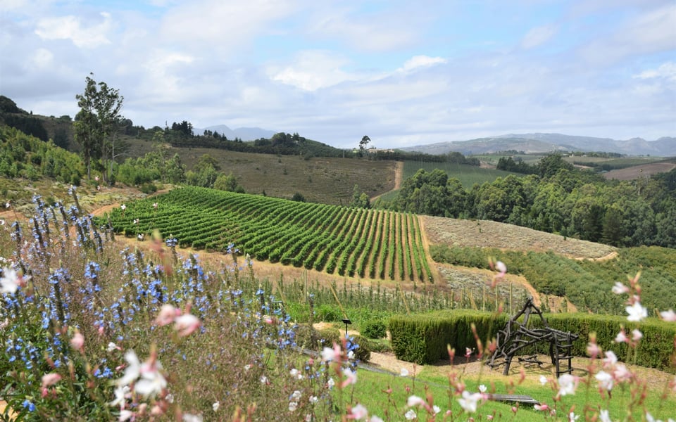 Bonny Doon CA: Redwoods, Reservoir & Scenic Retreat