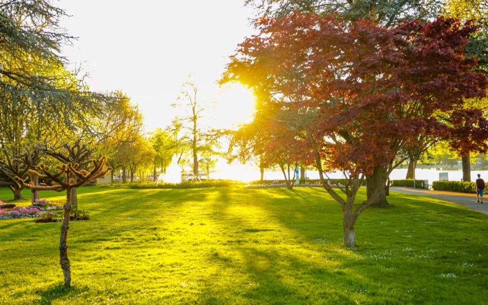 A Guide to North Seattle, WA Parks | Outdoors & Recreation