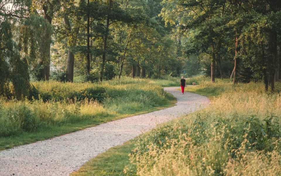 The Top Attractions in Cresskill For Locals or Tourists | Blog | The ...
