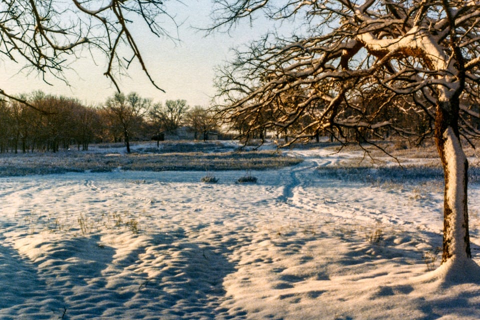 DIY Winterizing Your Austin Home: A Checklist for Winter Freeze ...