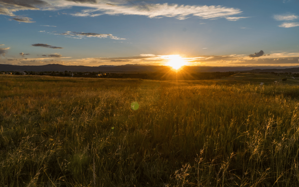 Things You Might Not Know About Castle Rock | Blog | Felicia Jenkins