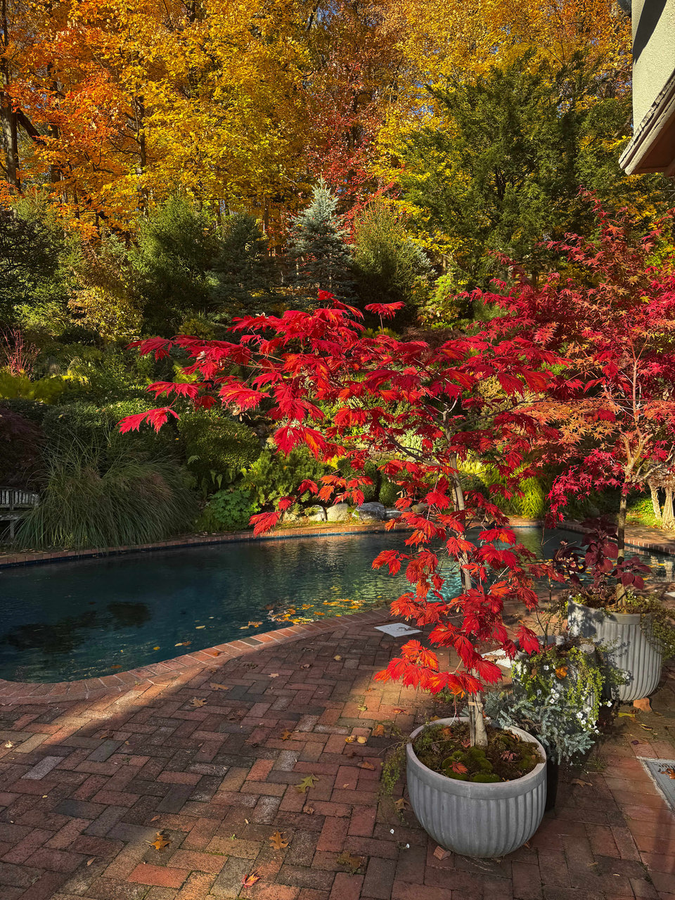 November 2025 Newsletter | Meredith Bergmann | Essex County Real Estate ...