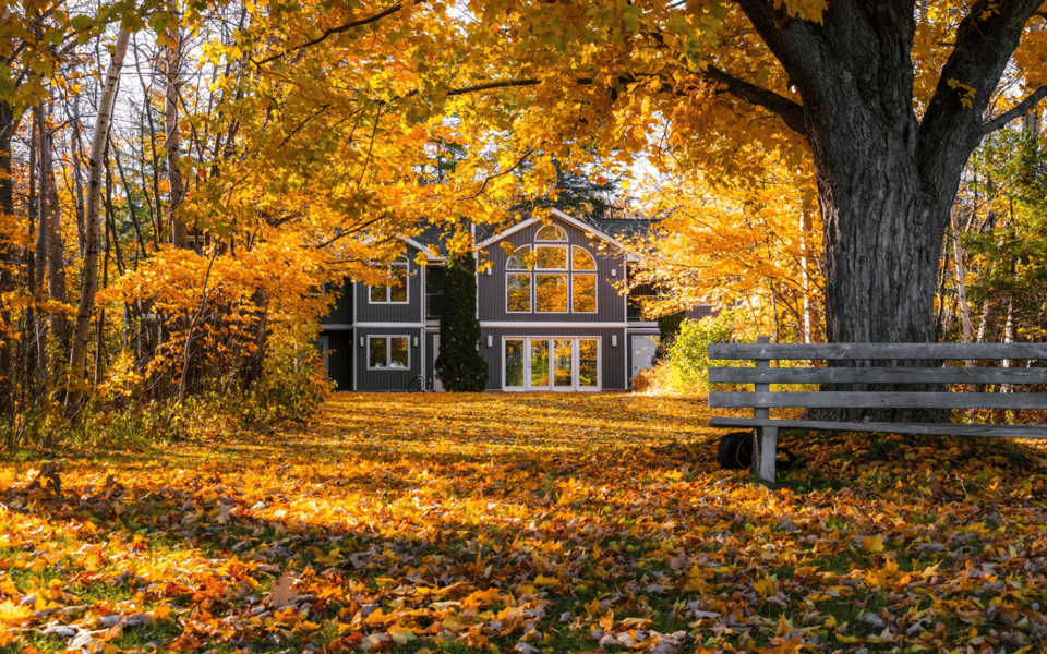 Best Neighborhoods to Live in Greater Lansing Area Guide