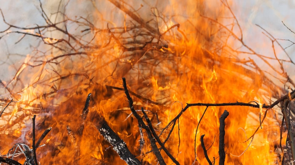 Brush fire safety tips for your Melbourne FL home!