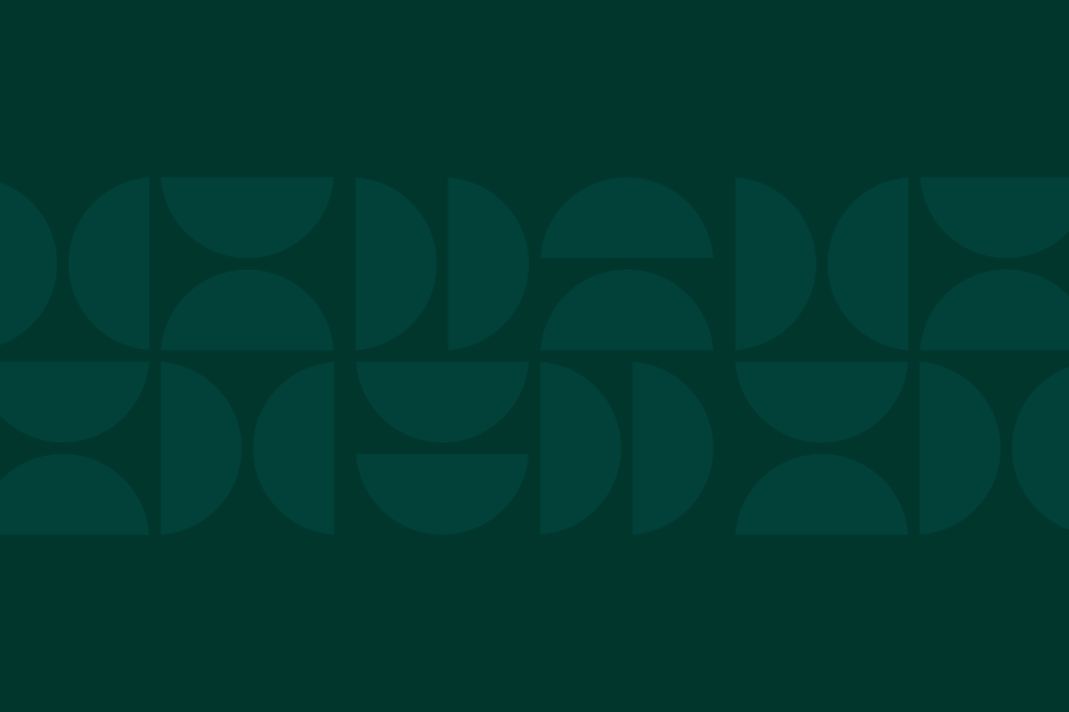Nest Connect 2024 Annual Report
